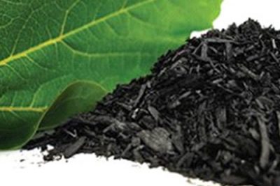 Biochar – The Biochar Revolution