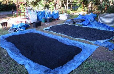 Biochar Production in Kon-Tiki Australia – The Biochar Revolution